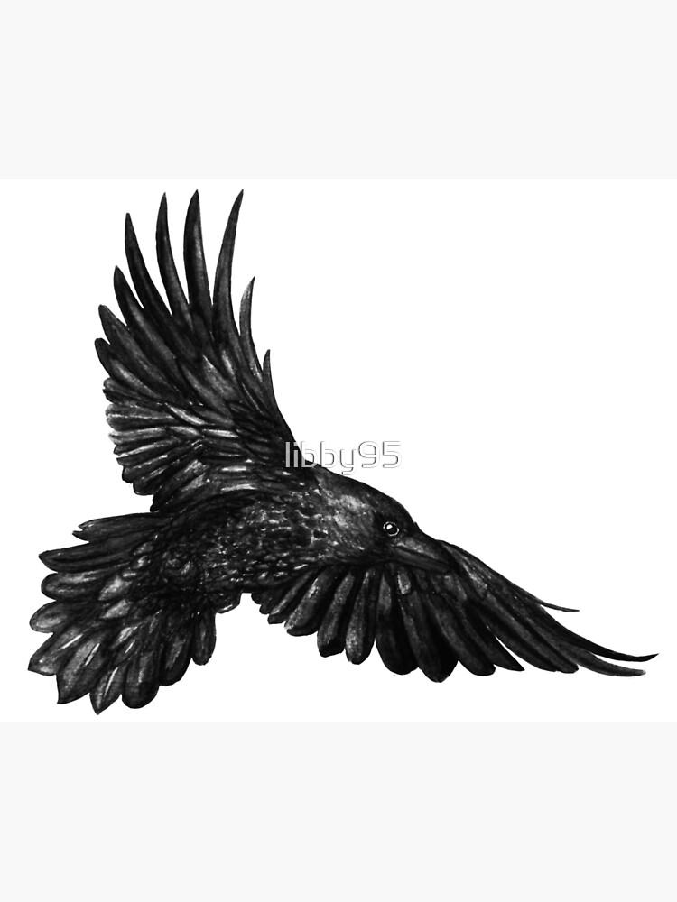 "Raven in flight" Art Print for Sale by libby95 | Redbubble