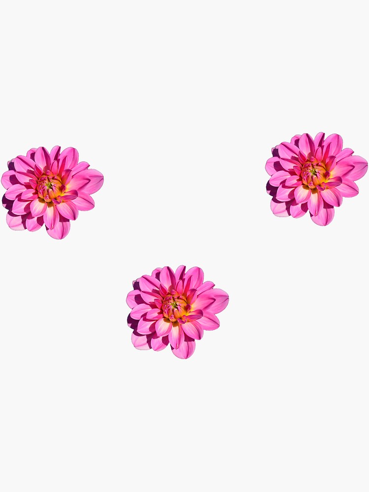 "Aesthetic Cute Pink Flowers Stickers Pack" Sticker for Sale by the ...