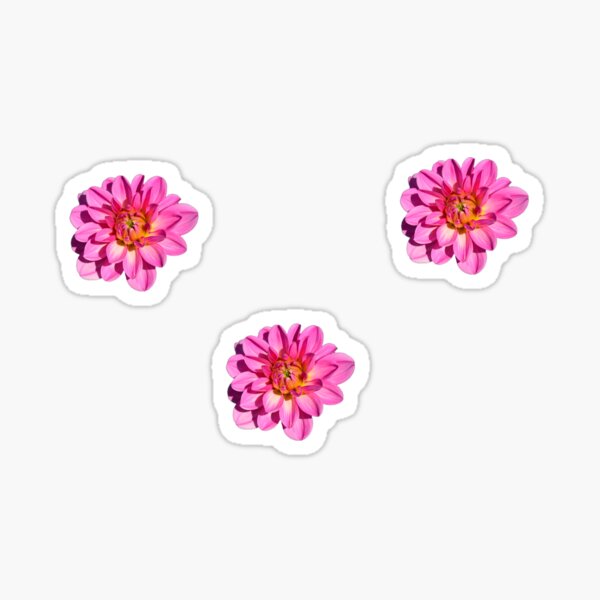"Aesthetic Cute Pink Flowers Stickers Pack" Sticker for Sale by the ...