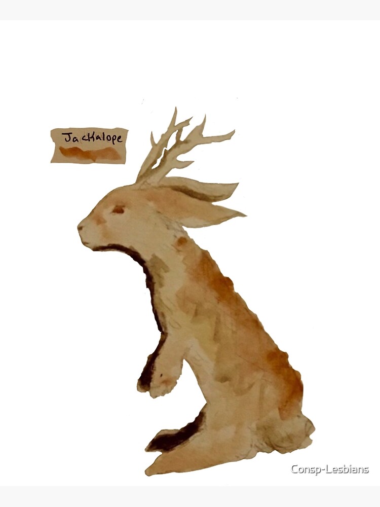 "Watercolor Jackalope" Poster by Consp-Lesbians | Redbubble