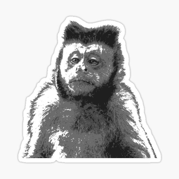 "Pensive monkey" Sticker by saechla | Redbubble