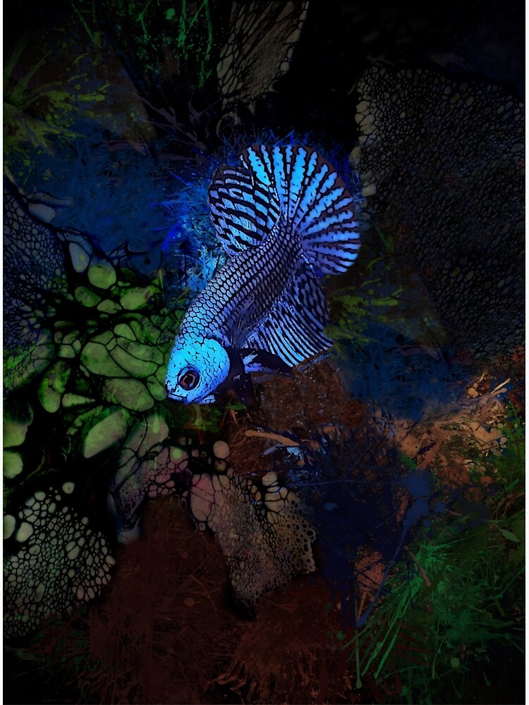 "Midnight Blue Neon Betta" Poster by Digital-designs | Redbubble