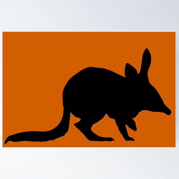 "Macrotis lagotis AKA Bilby" Poster for Sale by NinGaui | Redbubble