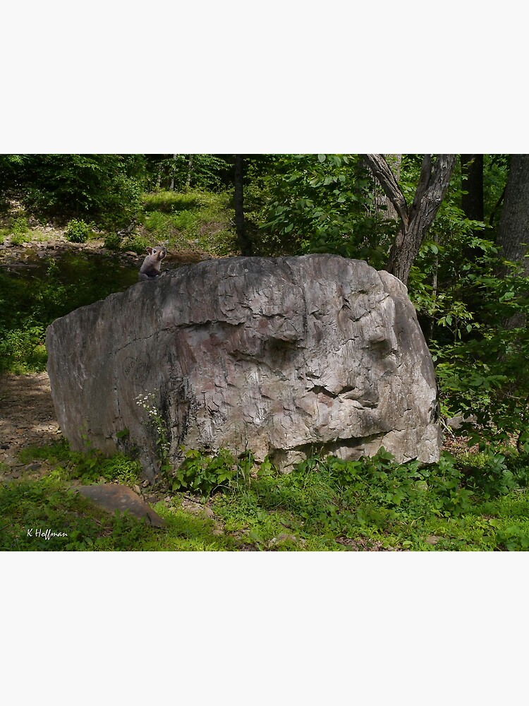 "Angry Rock" Poster for Sale by webster7 | Redbubble