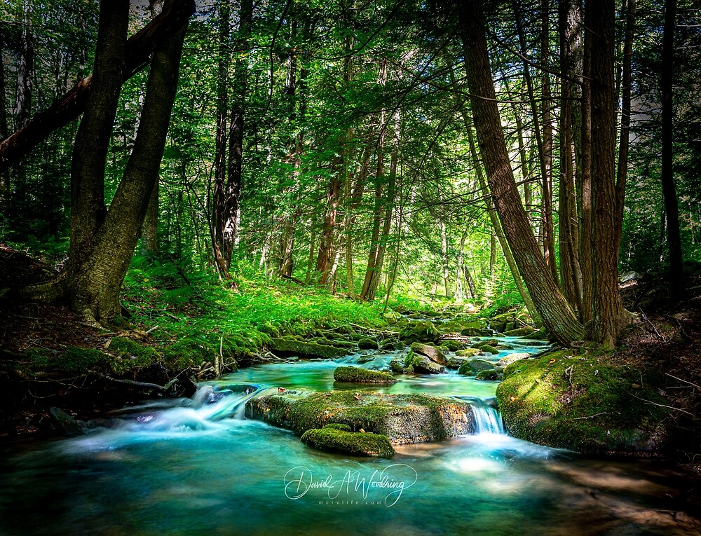 "Peaceful Mountain stream, Pennsylvania USA" by mcrvlife | Redbubble