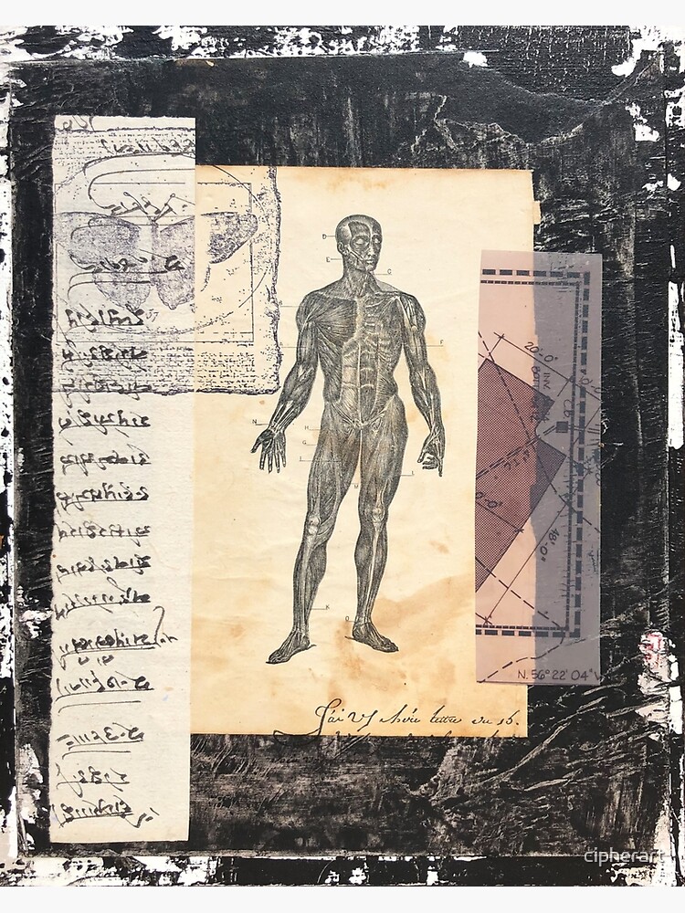 "Striae" Poster by cipherart | Redbubble