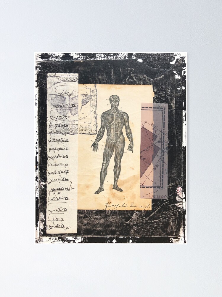 "Striae" Poster by cipherart | Redbubble