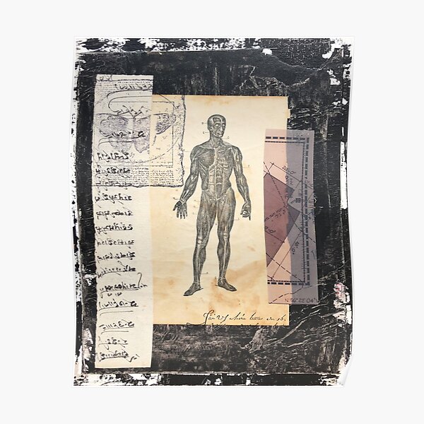 "Striae" Poster by cipherart | Redbubble