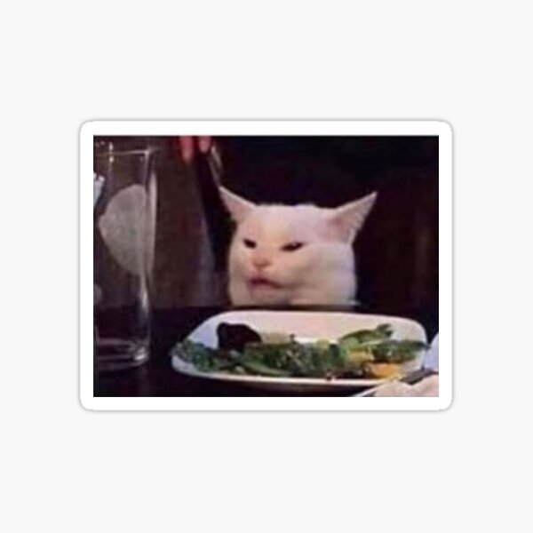 "shocked cat" Sticker for Sale by ShinobiFrost | Redbubble