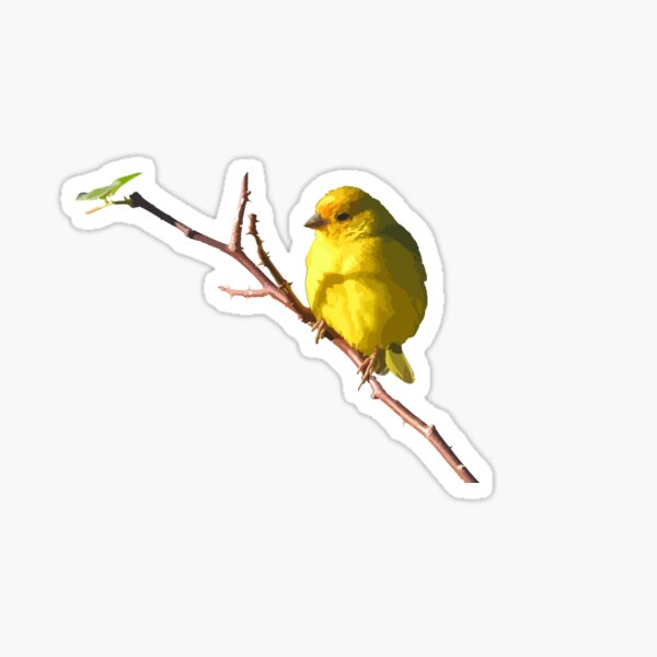 "Canary" Sticker for Sale by CubeLove | Redbubble