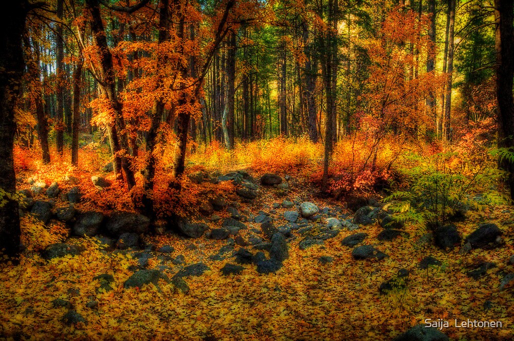 "Fall Fantasy " by Saija Lehtonen | Redbubble