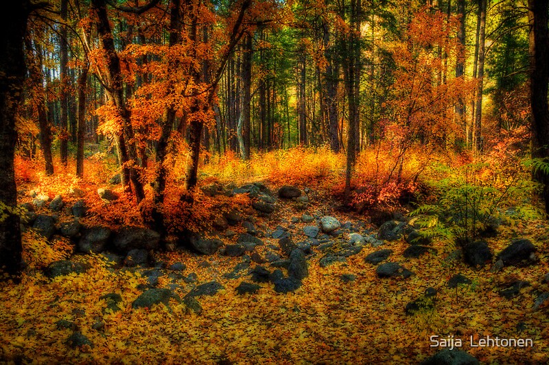 "Fall Fantasy " by Saija Lehtonen | Redbubble