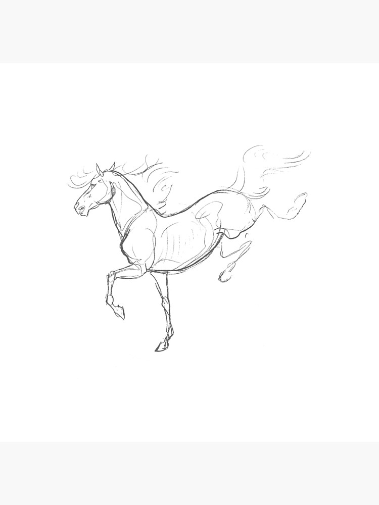 How To Draw A Horse Bucking