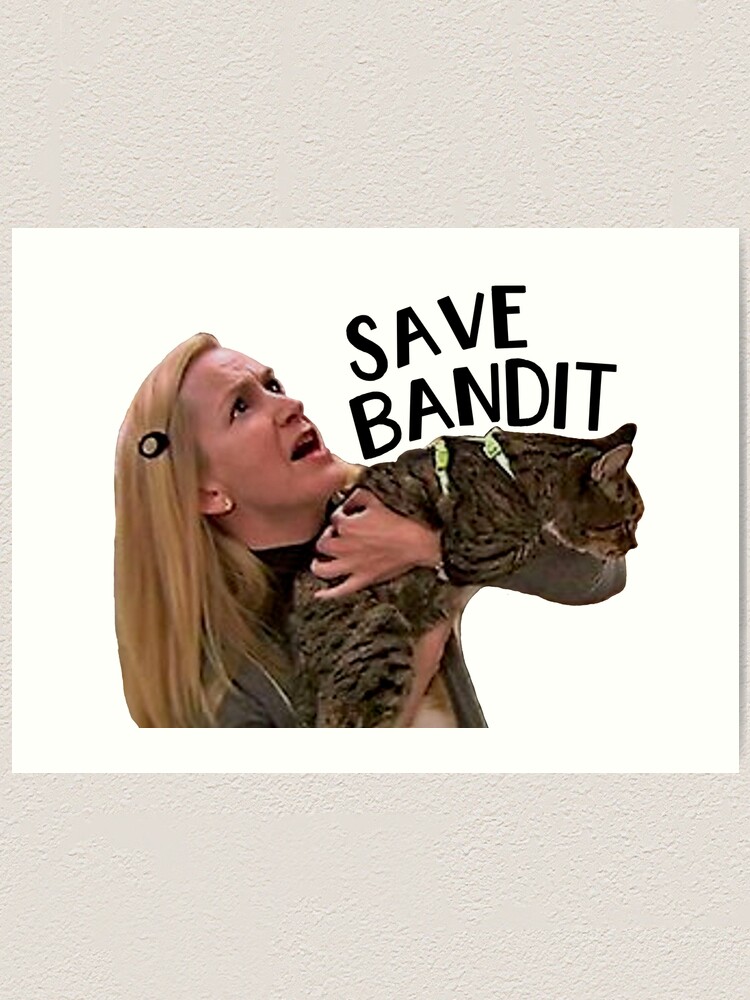 "Save Bandit" Art Print for Sale by laurenemoe | Redbubble