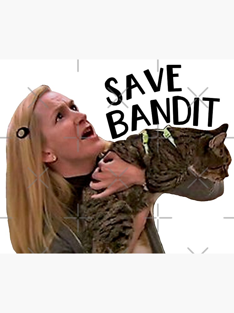 "Save Bandit" Art Print for Sale by laurenemoe | Redbubble