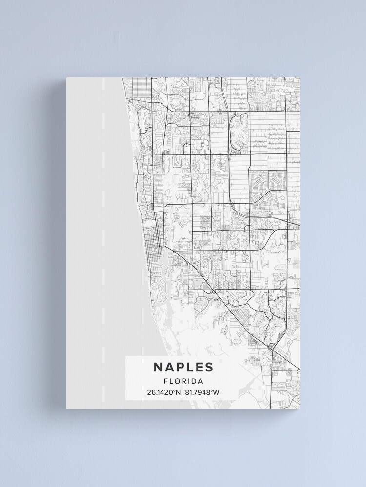 Large Detailed Map Of Naples Florida