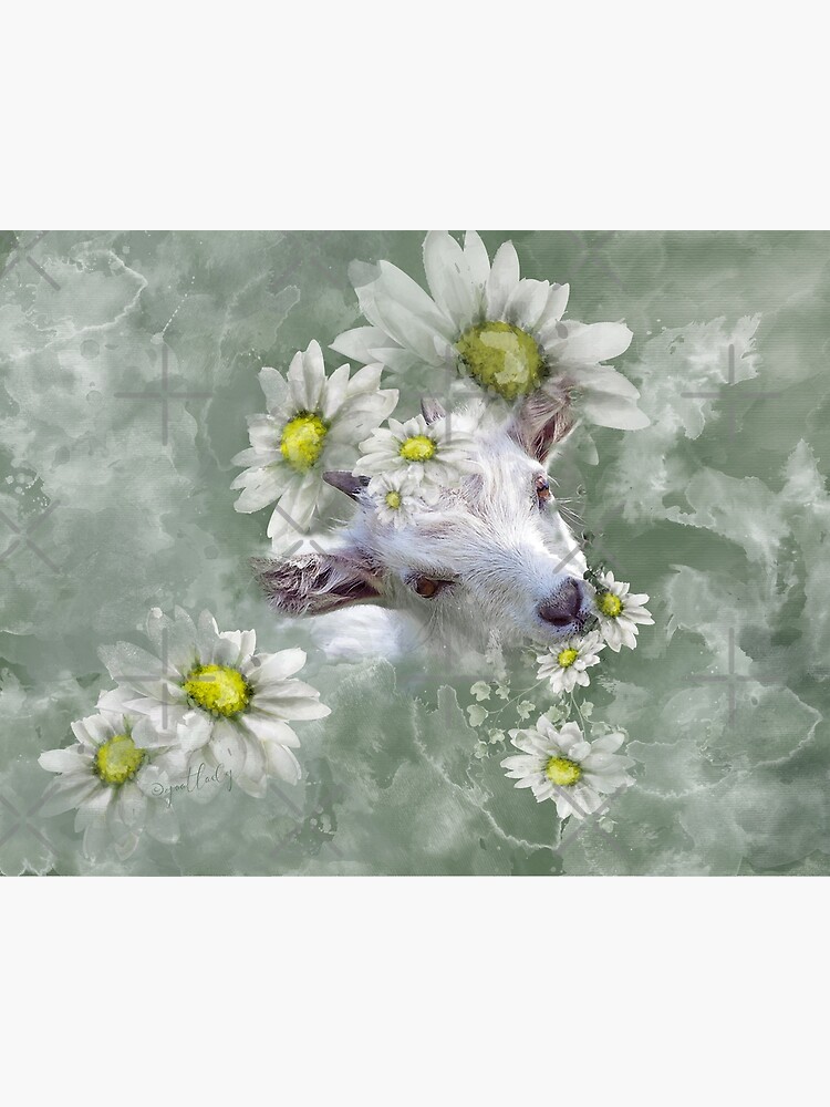 "Don't Eat the Daisies Baby Goat" Poster for Sale by IconicTee | Redbubble