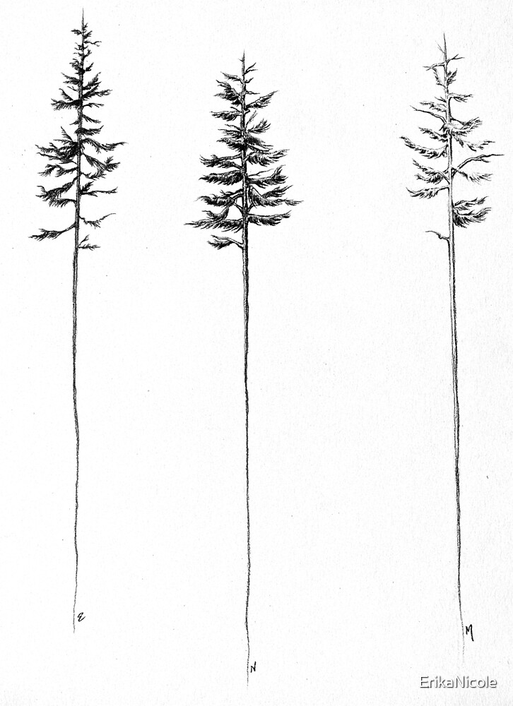 "The Pines" by ErikaNicole | Redbubble