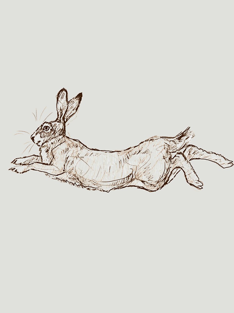 "Leaping Hare Sketch" T-shirt for Sale by jordanhempstead | Redbubble ...