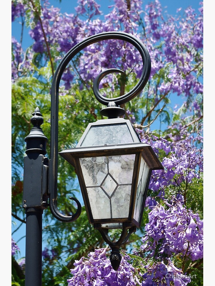 "Jacaranda" Poster by CrismanArt | Redbubble