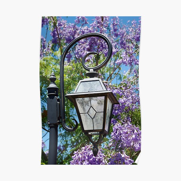 "Jacaranda" Poster by CrismanArt | Redbubble