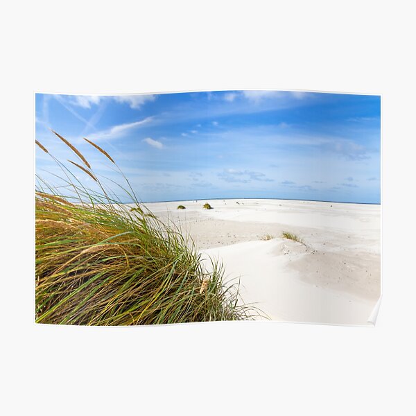 "Dunes on the island Amrum, North Sea" Poster for Sale by ...
