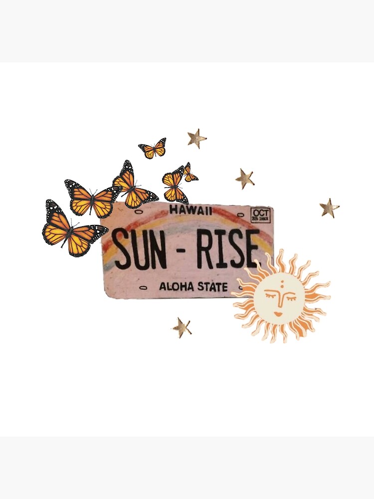 "vsco hawaii license plate " Poster by -kali | Redbubble