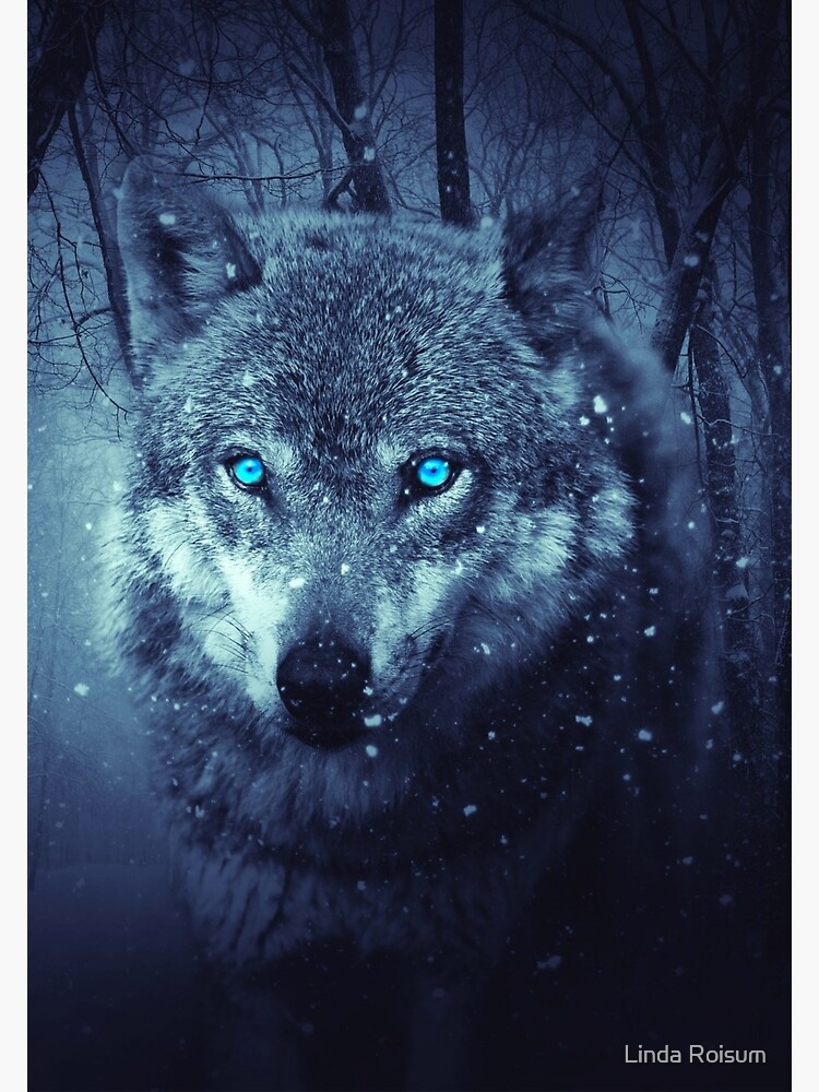 "Blue-Eyed Wolf Face" Poster for Sale by jouvaygifts | Redbubble