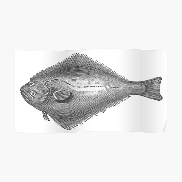 Art & Collectibles Digital Drawing & Illustration Wall Art INSTANT ...