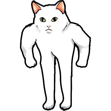 "Buff cat" Sticker by lezith | Redbubble