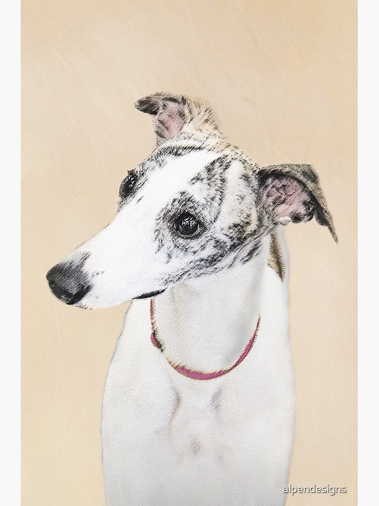 "Whippet" Framed Art Print for Sale by alpendesigns | Redbubble