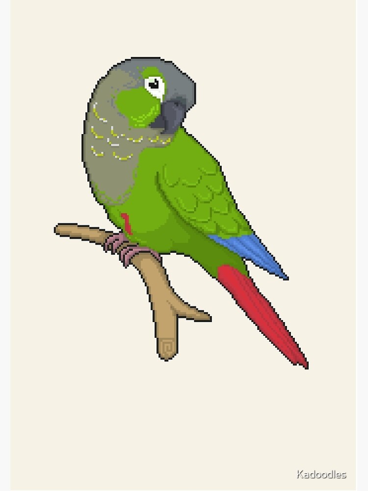 "Pixel / 8-bit Parrot: Green-cheek Conure" Spiral Notebook by Kadoodles ...