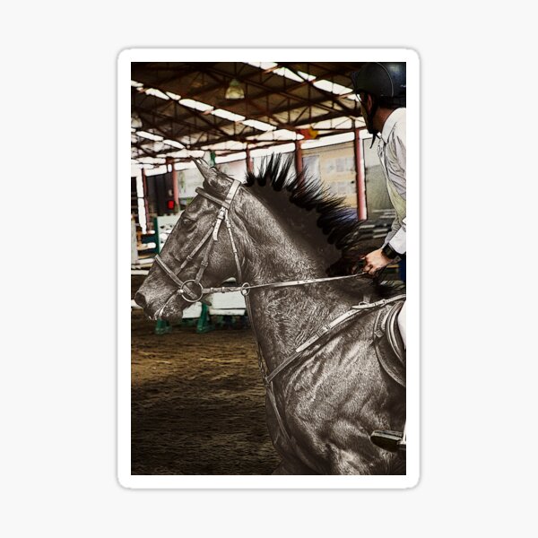 "Riding At El Crea, Cuenca, Ecuador" Sticker for Sale by alabca | Redbubble