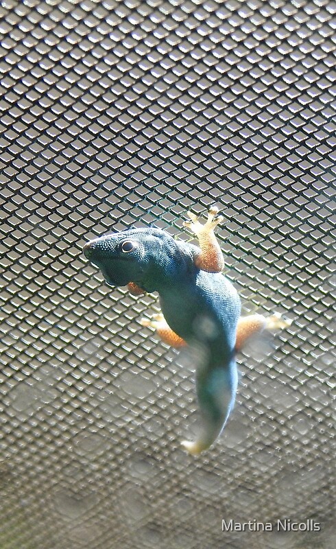 « Gecko bleu électrique » par Martina Nicolls | Redbubble
