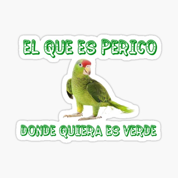 Designsbykids Shop | Redbubble