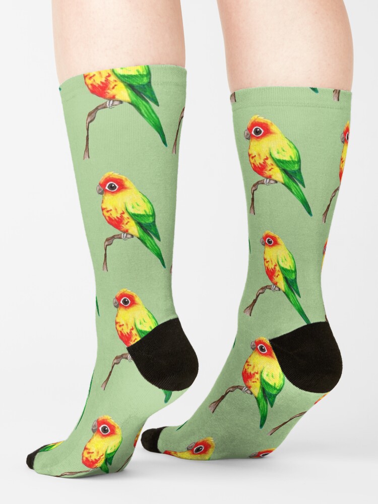 "Cute sun conure" Socks for Sale by Bwiselizzy | Redbubble