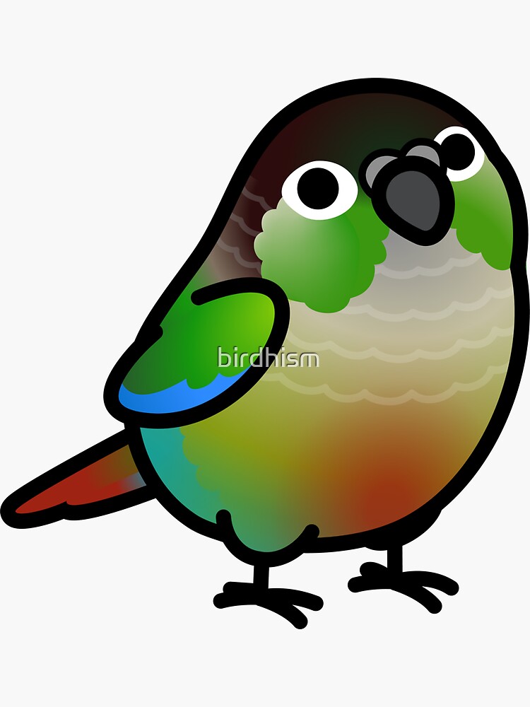 "Chubby Green Cheek Conure" Sticker for Sale by birdhism | Redbubble