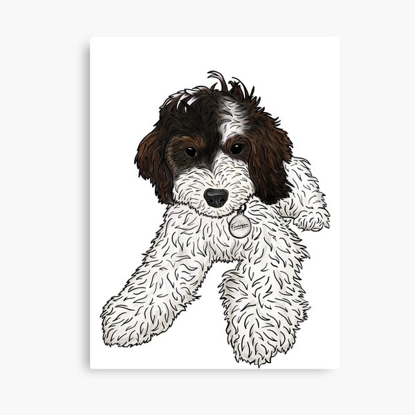 "Cavapoo" Canvas Print by omanke | Redbubble