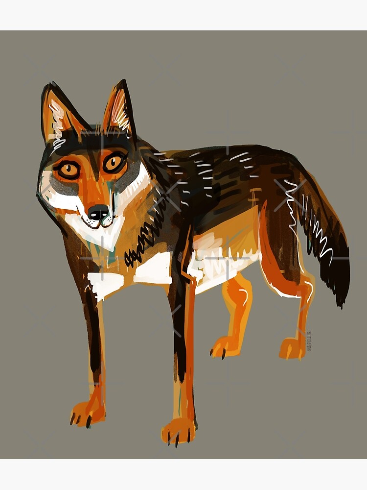 "Atlas or Egyptian wolf" Poster for Sale by belettelepink | Redbubble