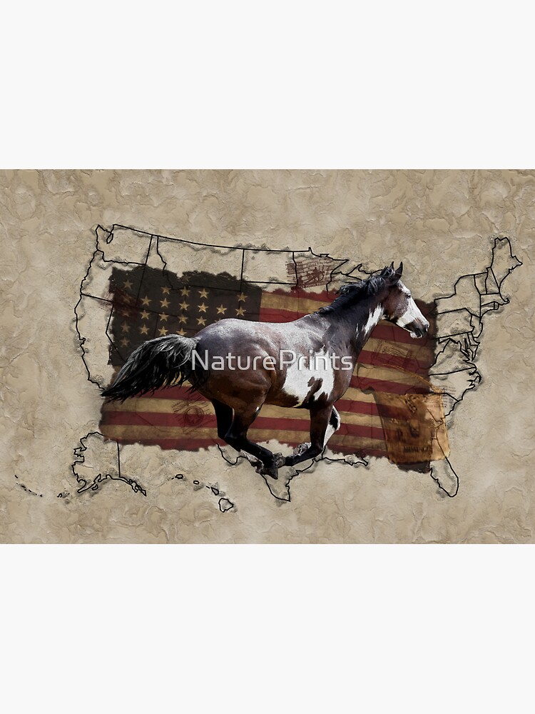 "Pony Express Pinto Horse Delivering US Mail" Sticker for Sale by ...