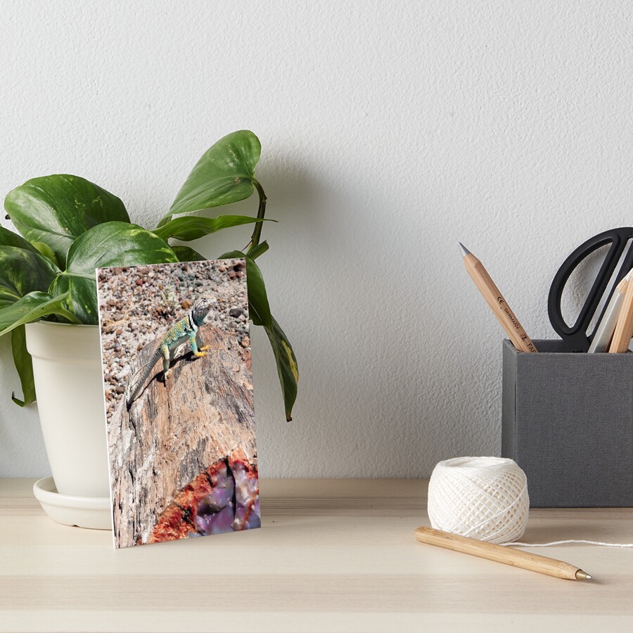 "Collard Lizard" Art Board Print by sangelrickard | Redbubble