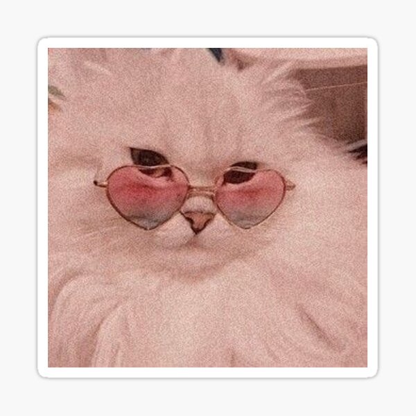 "cute cat with glasses" Sticker for Sale by pandasis | Redbubble