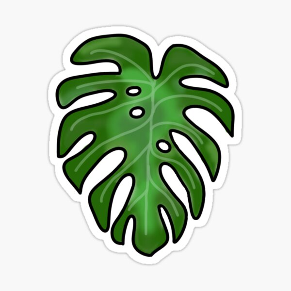 "Swiss cheese Plant (Monstera deliciosa)" Sticker for Sale by ...