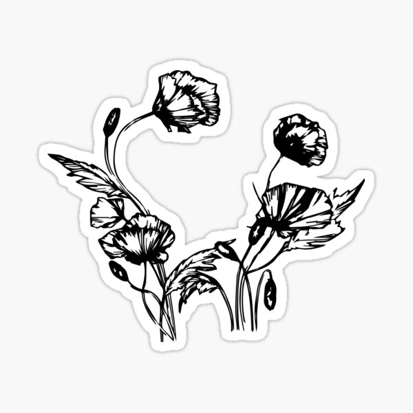 "Poppy Flowers" Sticker by nmeijdam | Redbubble