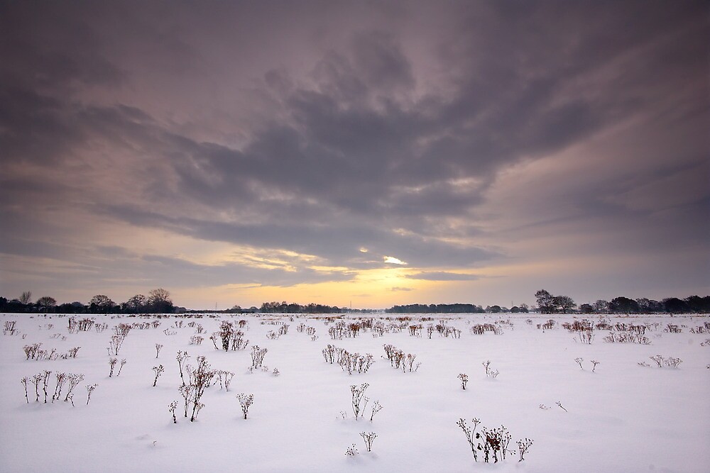 "Snow Field" by Andrew Leighton | Redbubble