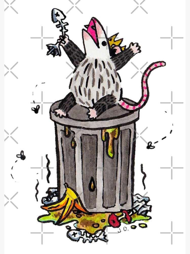 "Trash King" Canvas Print for Sale by possum-mood | Redbubble