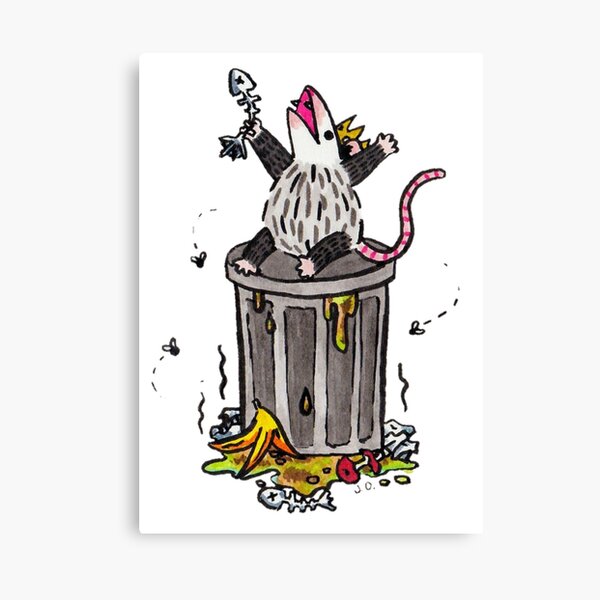 "Trash King" Canvas Print for Sale by possum-mood | Redbubble