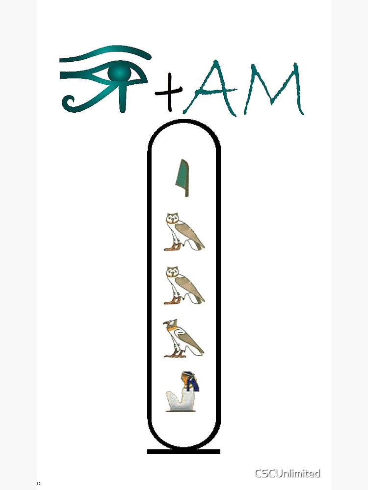 "The name EMMA Cartouche written in Ancient Egyptian Hieroglyphics ...