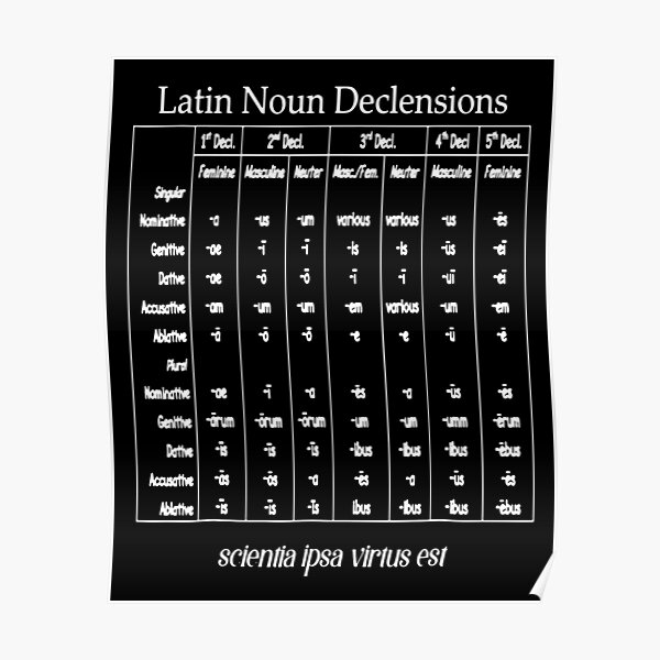 "Latin Noun Declension Chart For Classical Education" Poster by ...