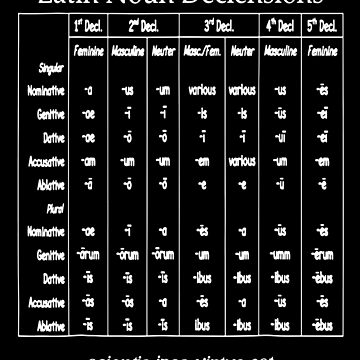"Latin Noun Declension Chart For Classical Education" Poster for Sale ...